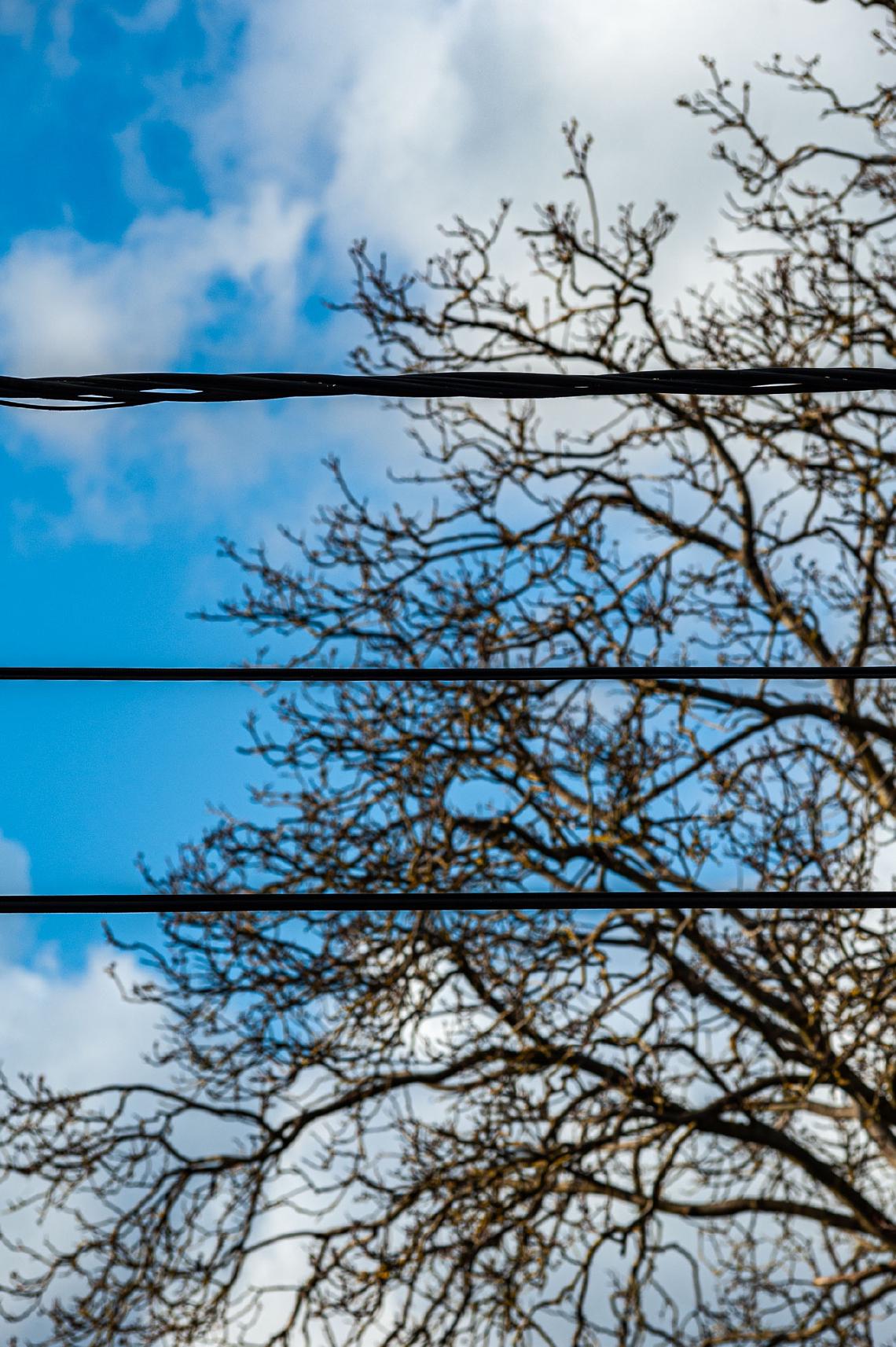Wandeling opdracht Cultuur vs Natuur - Epic Win Photography